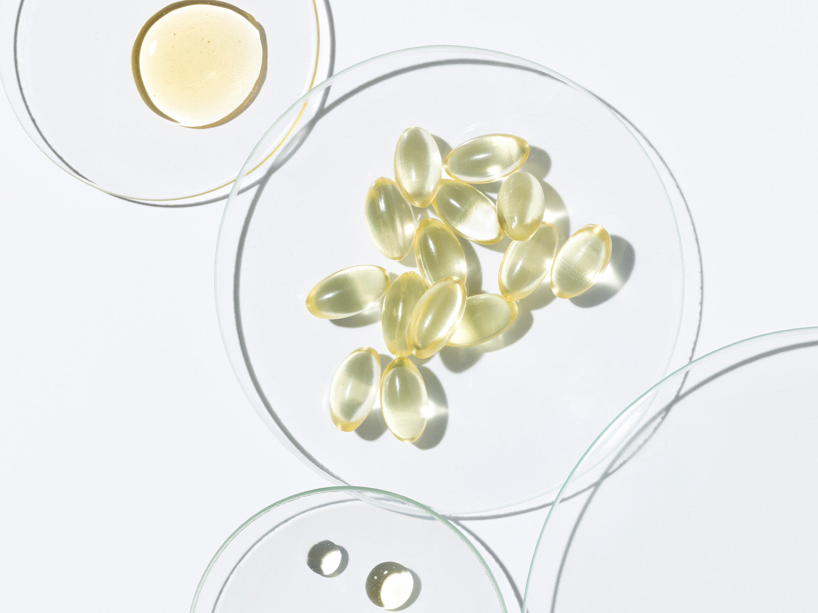 What Are Ceramides? – DEINDE